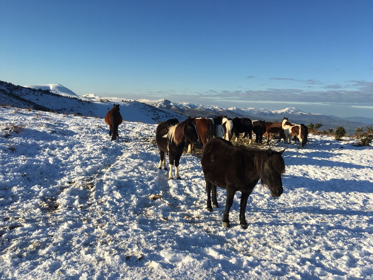 Site officiel de la Commune de MACAYE - Commune de MACAYE